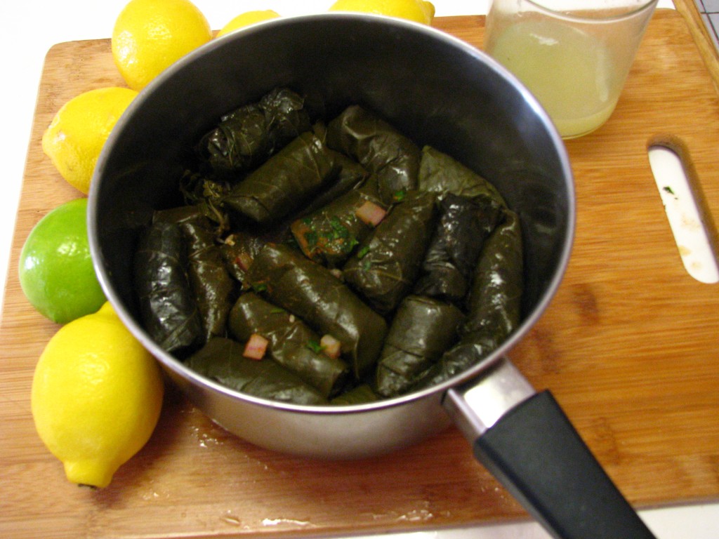 Vegetarian Dolma – Step by Step Recipe | RedChillies